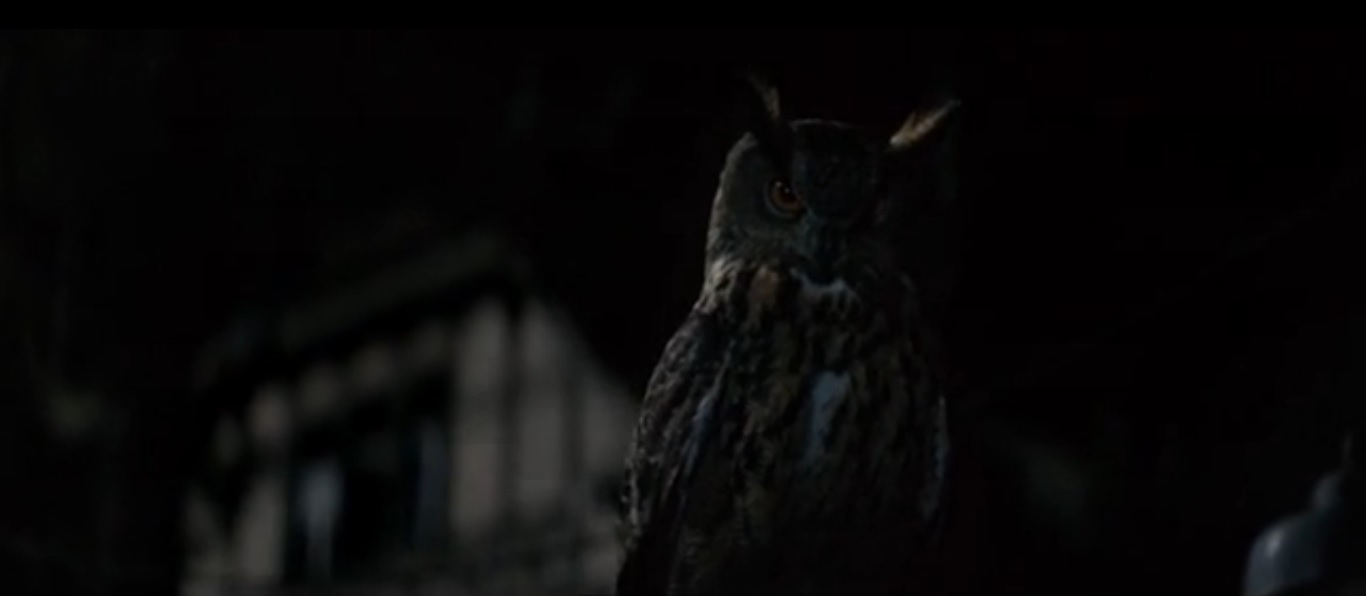 SCREEN ON SCREEN: REVIEW - MEN & CHICKEN (ANDERS THOMAS JENSEN)