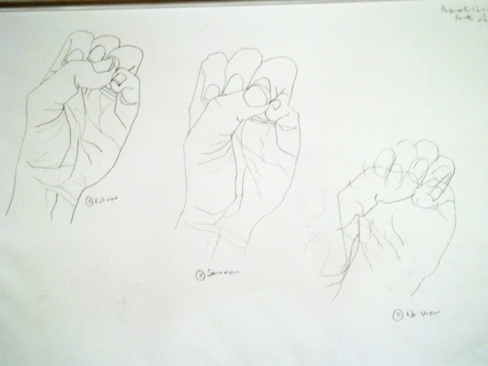 Free Online Art Classes: Line and Observation - Exercise 3: Drawing ...