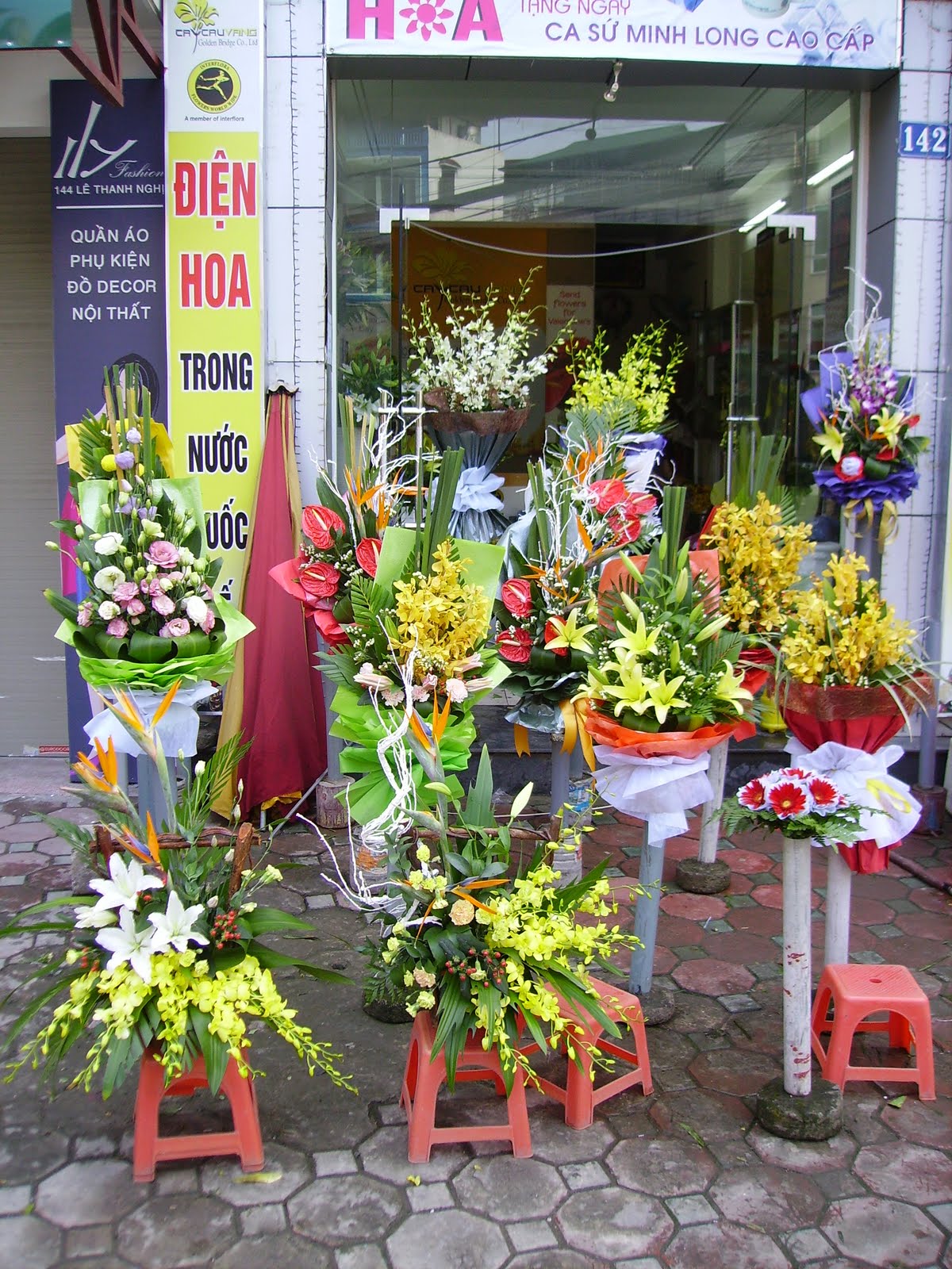 Xin chao !!: Le retour de "Super Marsu"