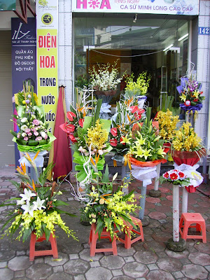 Xin chao !!: Le retour de "Super Marsu"