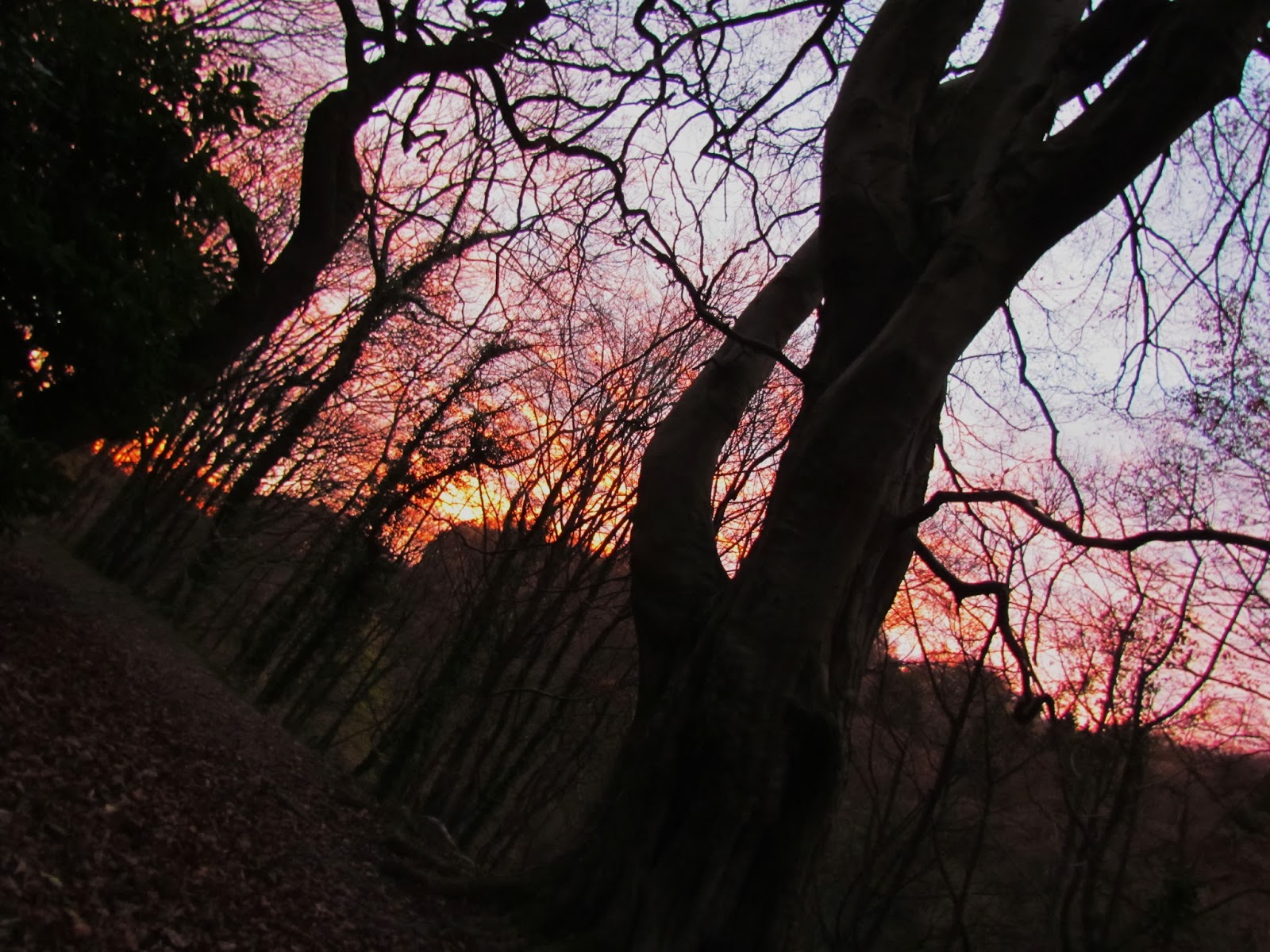 Marker: Liminal Spaces - Photography
