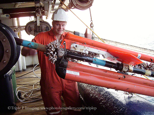 Life Ordinary: Barnacles ahoy