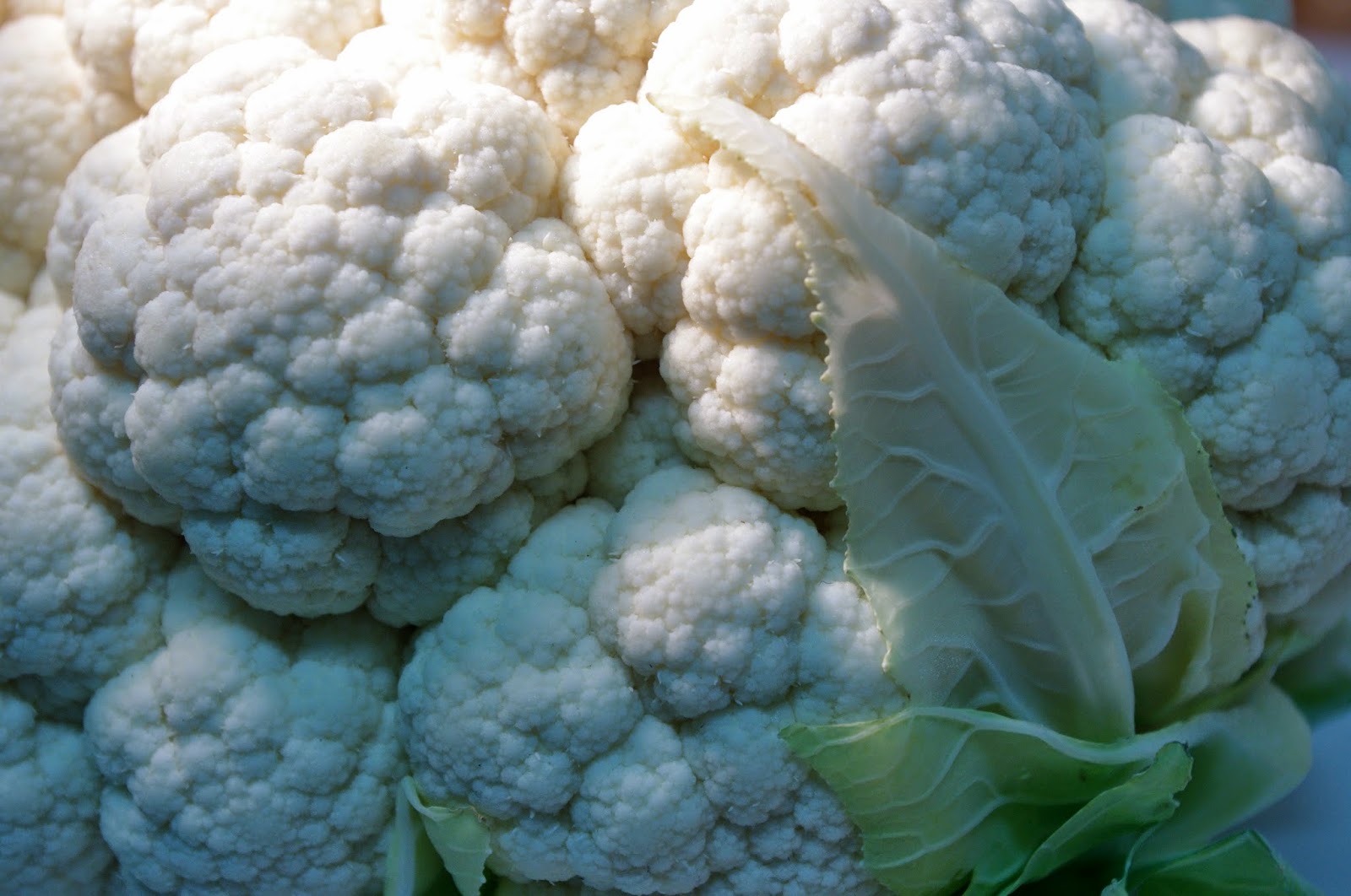 Explora Gourmet: Coliflor empanada