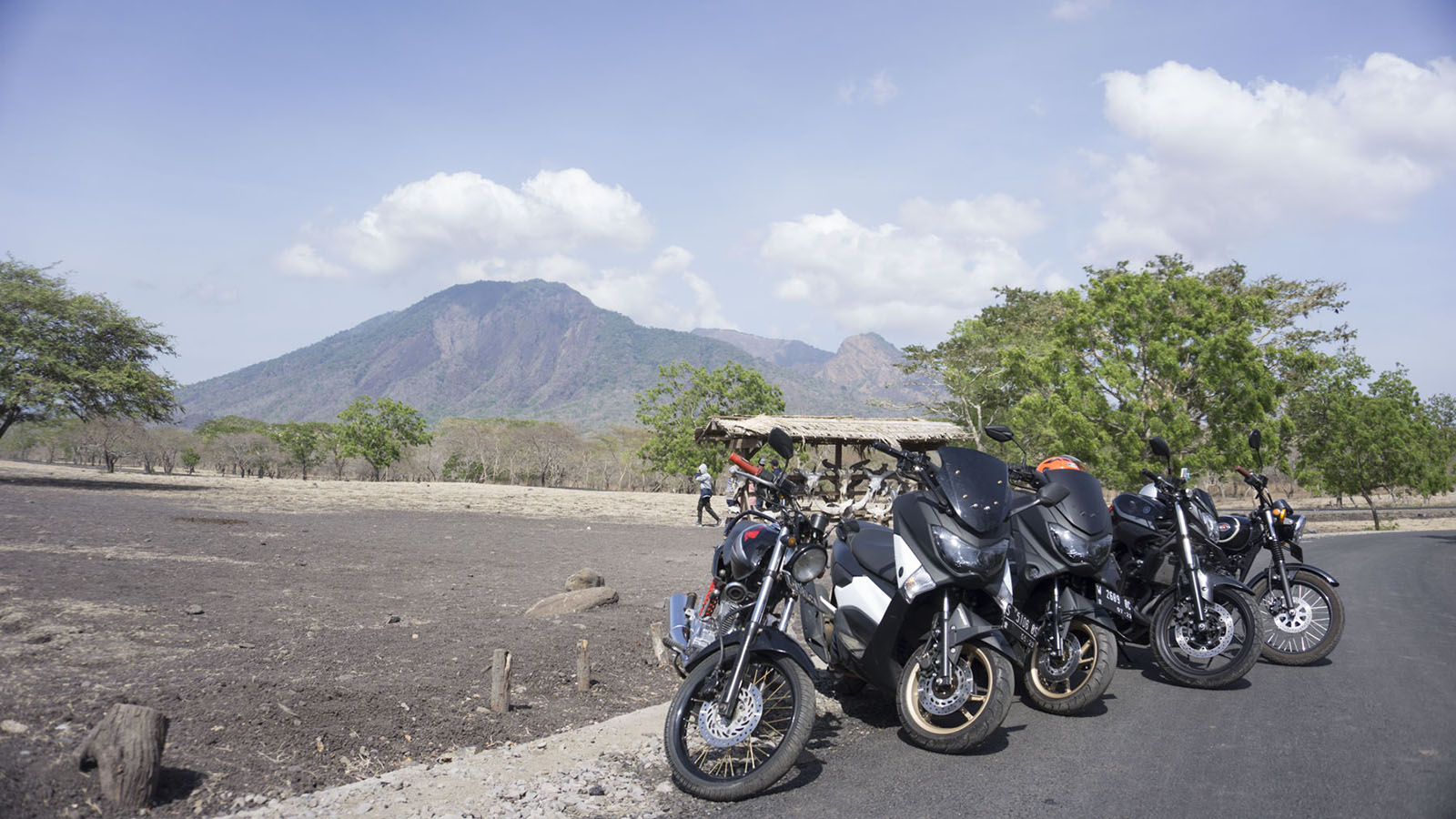 BALURAN NATIONAL PARK ~ RPM_Touring