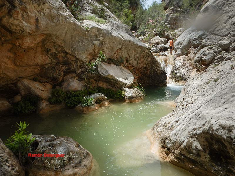 BICHOS Y MAS VLC: DE PASEO POR El RÍO FRAILE MENOS CONOCIDO
