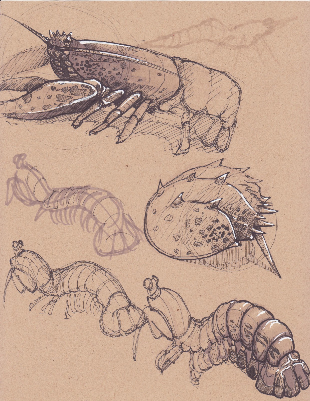 Tyler Chow: Dynamic Sketching - Week 4 - Insects