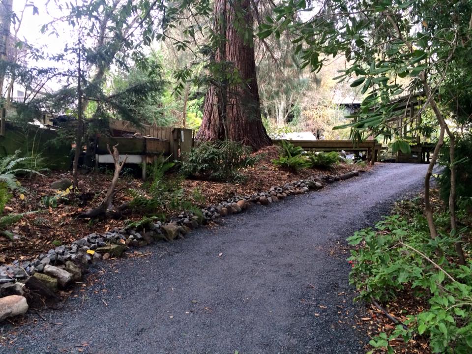 Shoreline Area News: Earthcorps and Seattle Tree Preservation ...