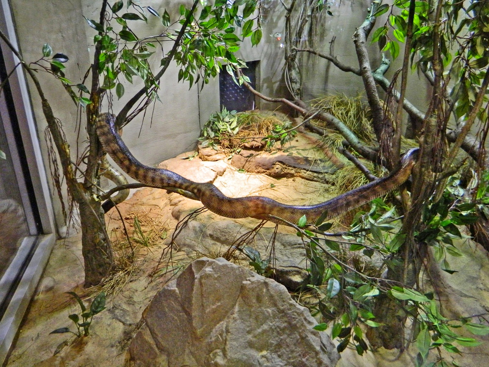 Jax Stumpes: Detroit 2014 IV (7/30/2014)