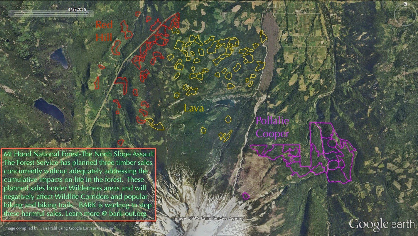 Currant: An Environmental Justice Blog: Working with Google Earth-The ...