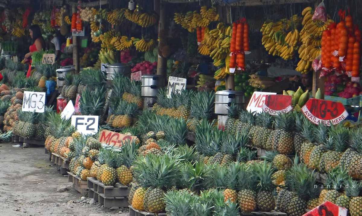 Freshest and Affordable Fruits at Tupi Fruit Park