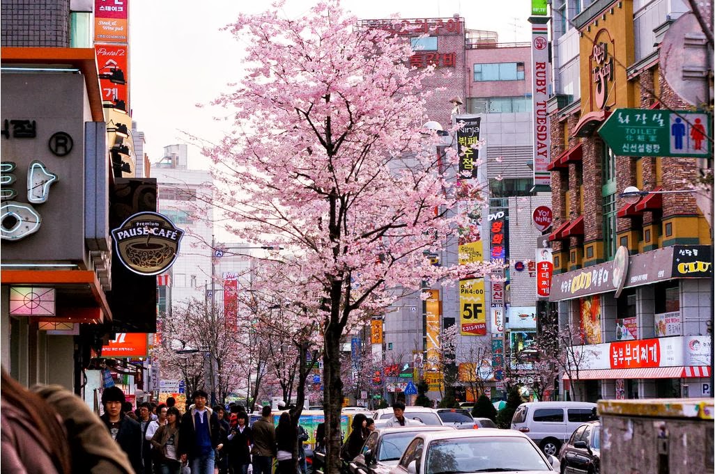 Estas es lo que necesitarás saber y tener en cuenta para antes de ...