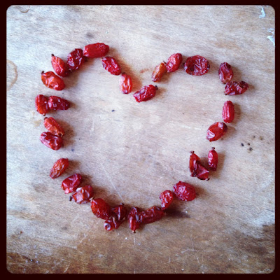 flora and flying - You cannot make this stuff up