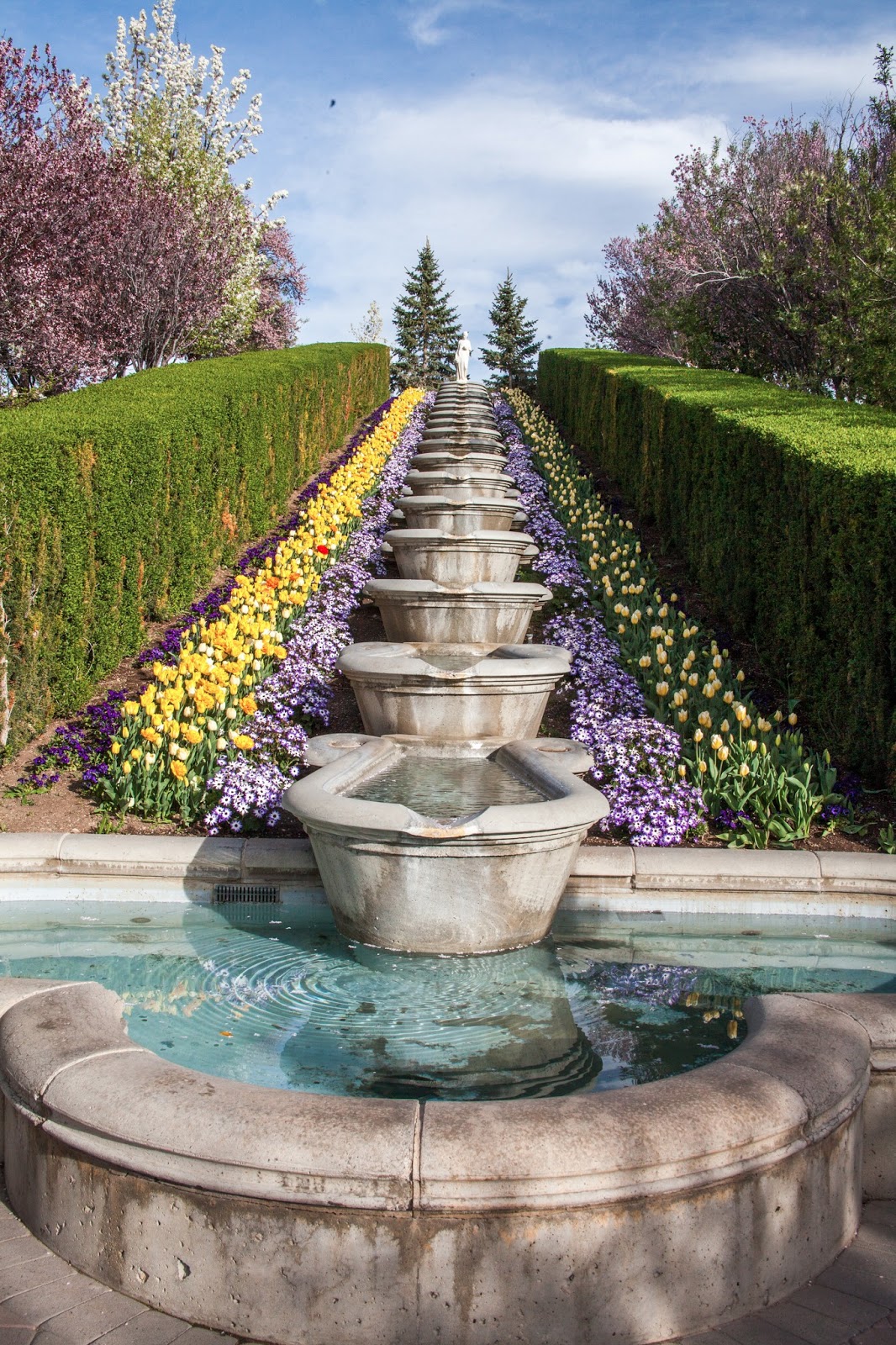 My Musings: Tulip Festival at Thanksgiving Point