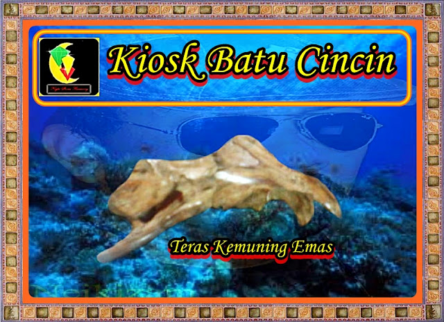 Kiosk Batu Cincin: KHASIAT KAYU YANG TERSIRAT DAN JENISNYA.