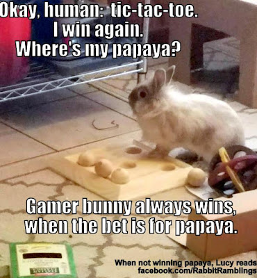 Rabbit Ramblings: Funny Bunny Monday Meme*day