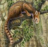 Rincón Cidleen: EL OSO GRIZZLY