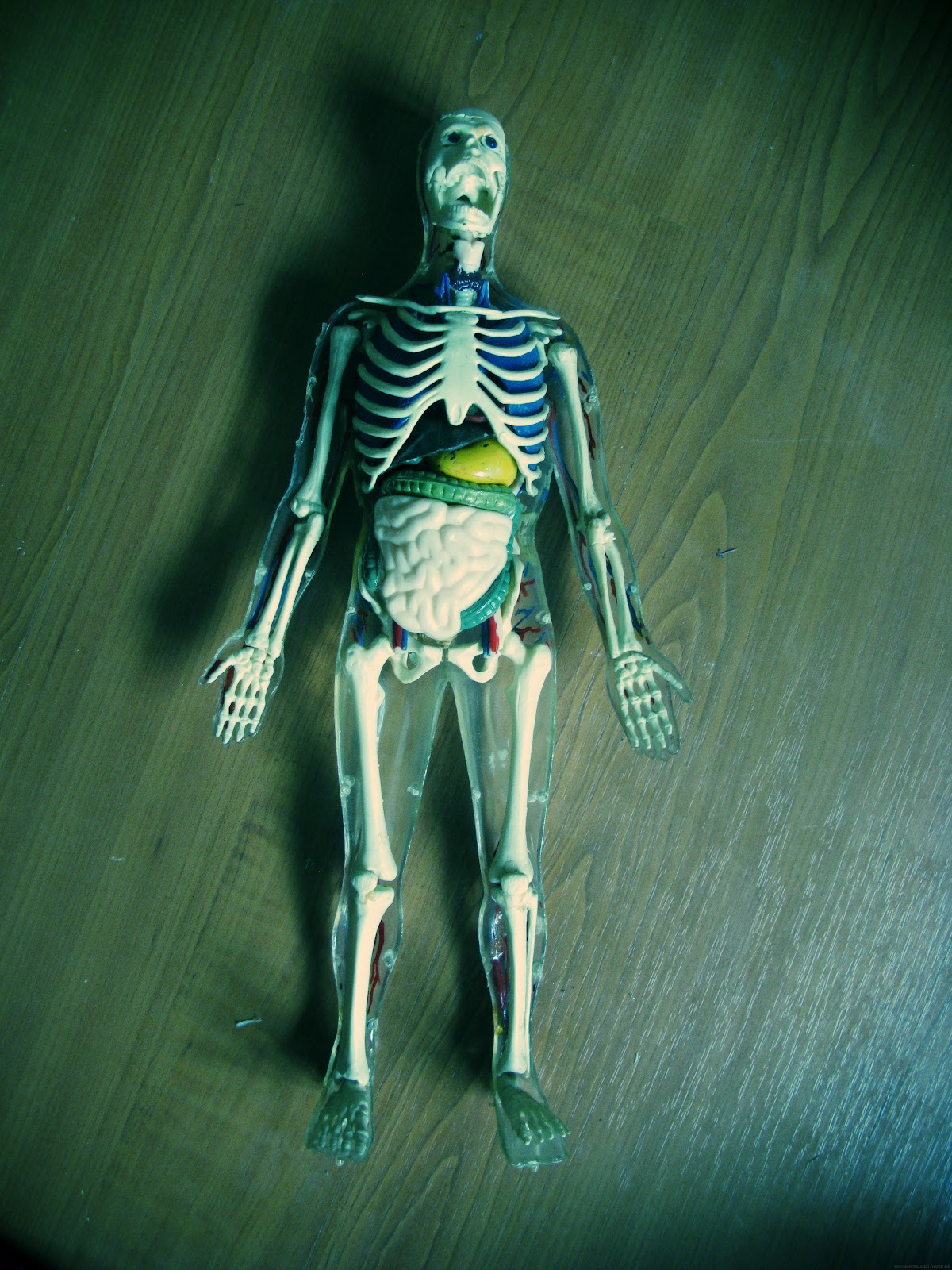 Glass Eyes: Renwal's Visible Head and Visible man