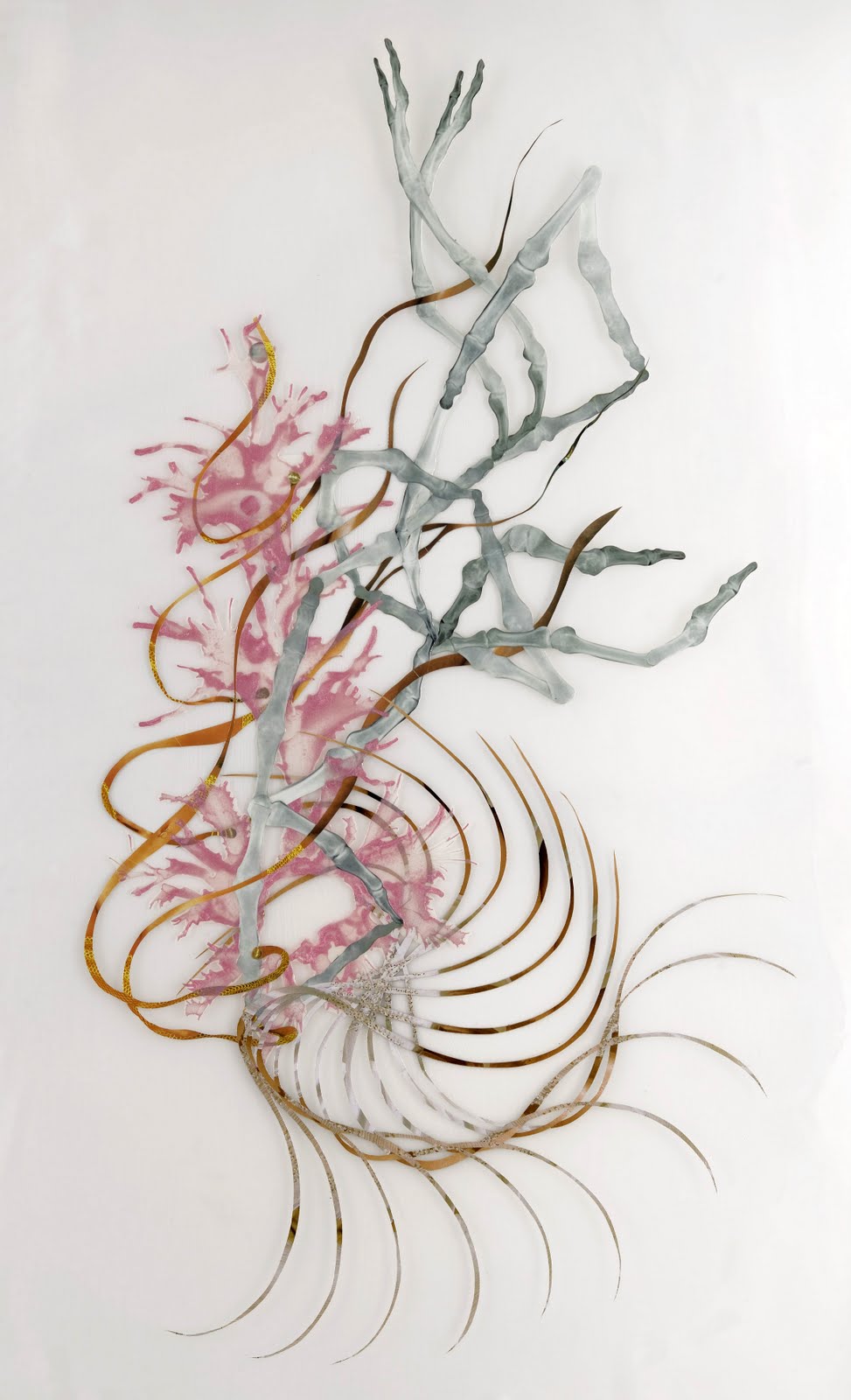 Jason Eden: X - Rays