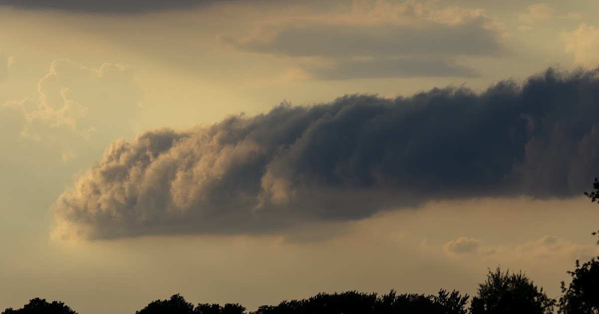 Gale's Photo and Birding Blog: Arcus Cloud