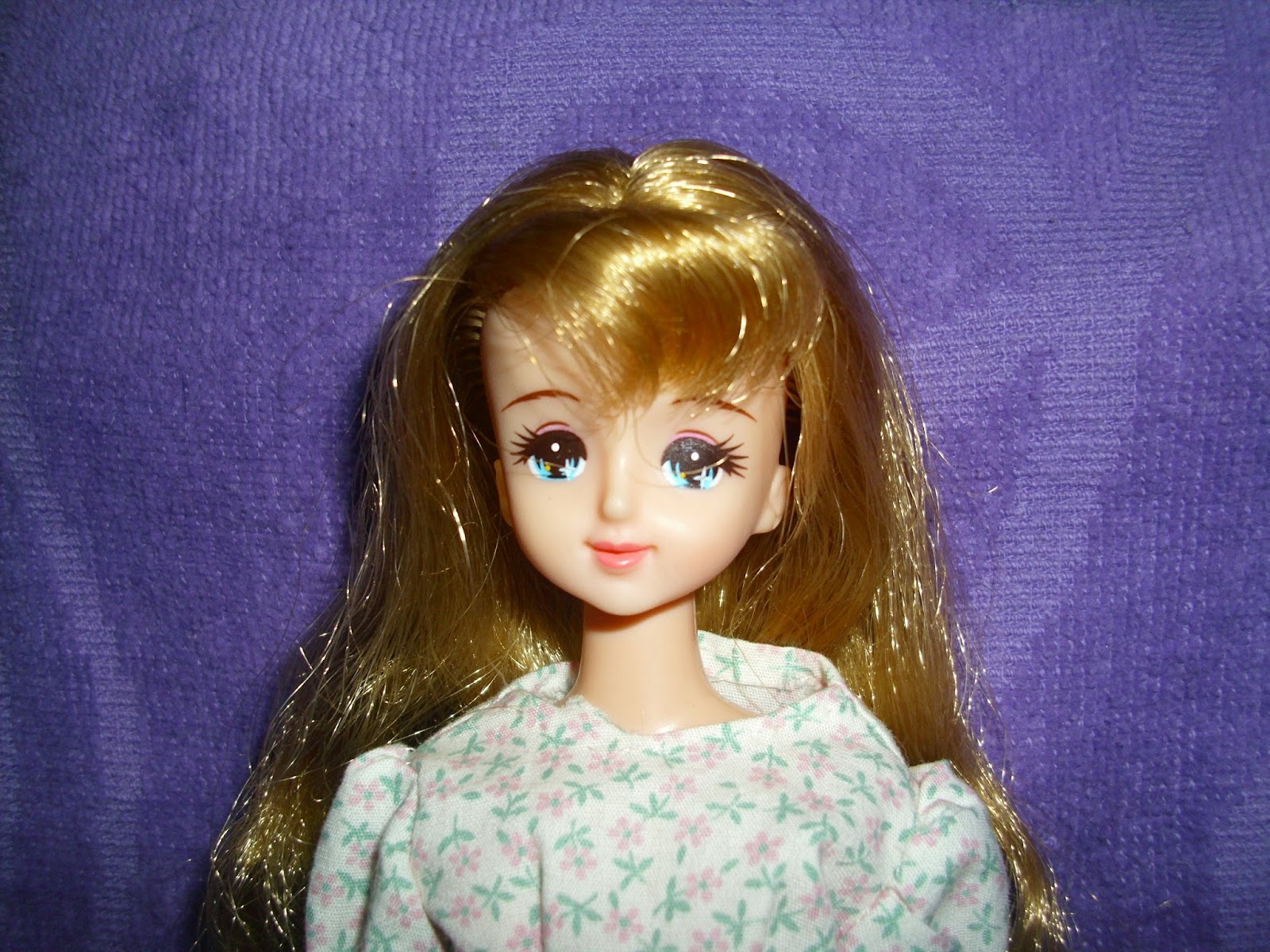 Jenny and Friends Doll Collection: Takara Jenny Dolls & Boyfriends