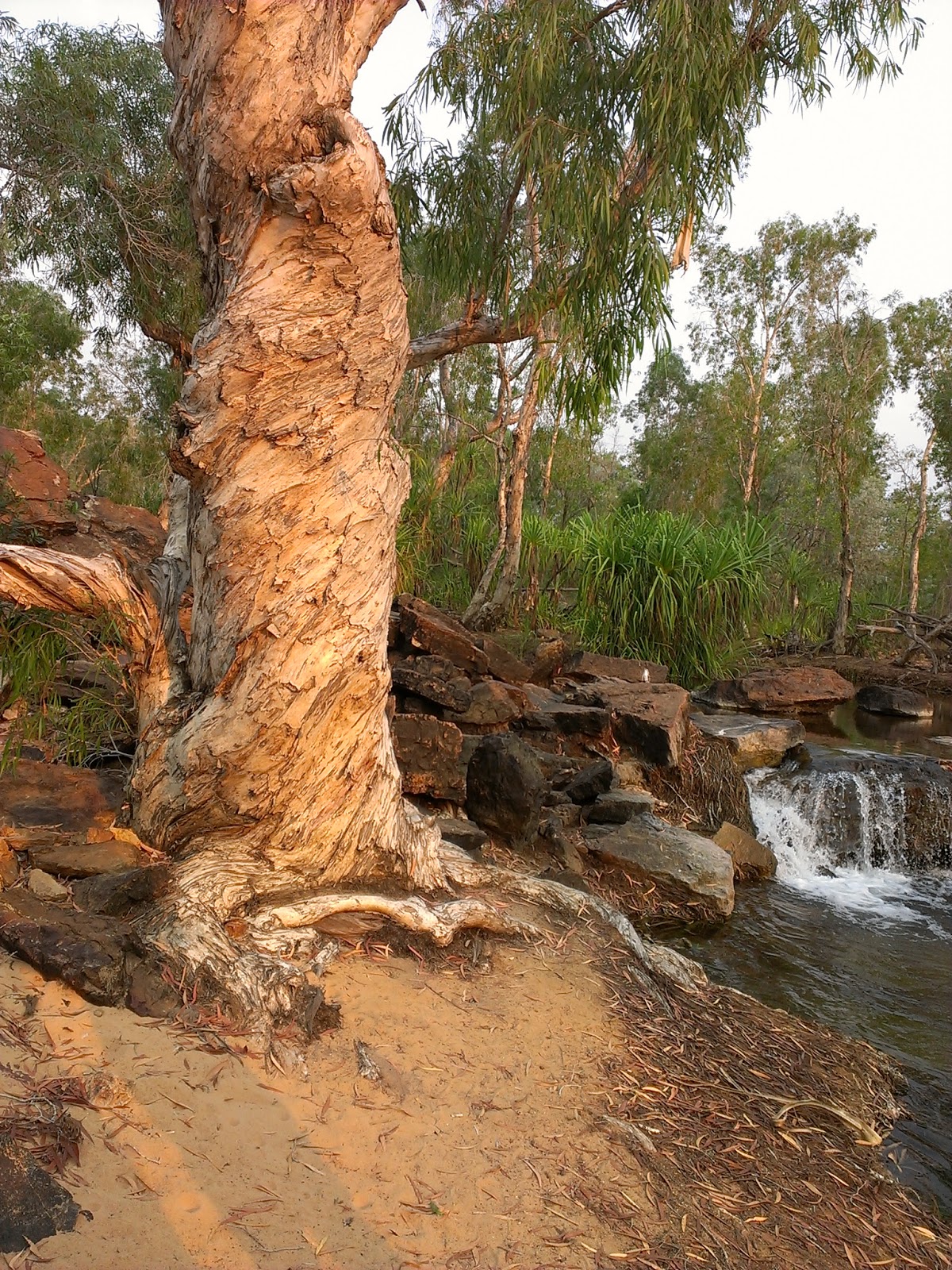 Life @ Robinson River