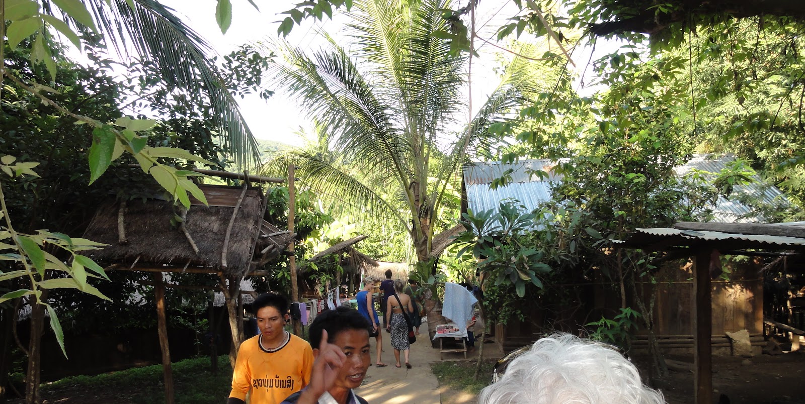 Annie's Adventures in Vietnam: Elephants and Waterfalls