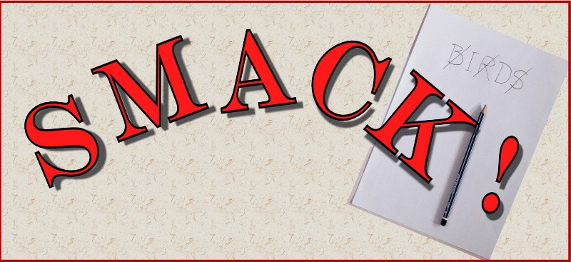 RSBF: Learning letters and words: "Smack" game