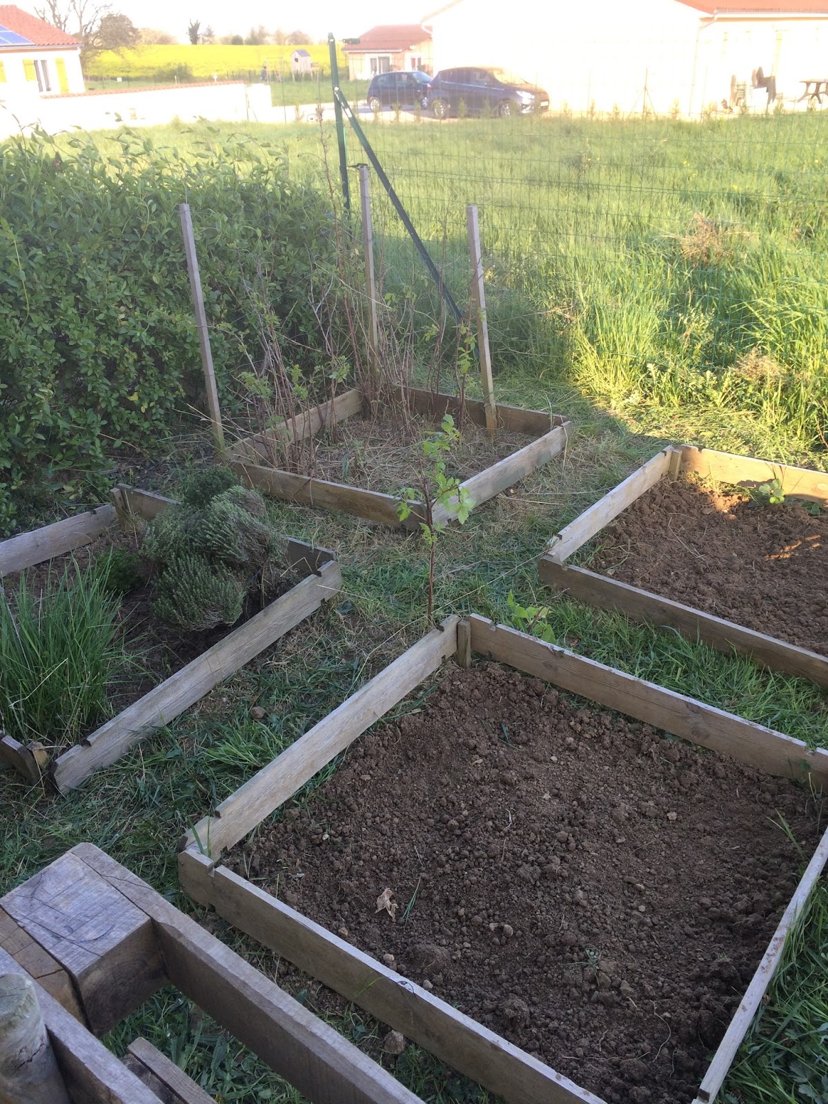 La ferme d'Emilie: Un petit coin de potager, partie 1