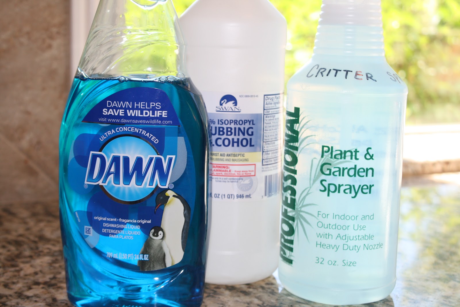 everything to entertain: Critter Spray