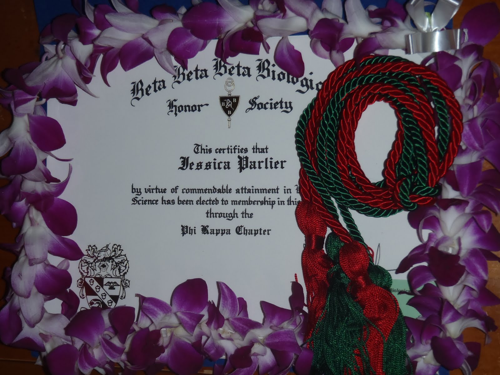 University Of Iowa Graduate Program Requirements: Beta Alpha Psi ...