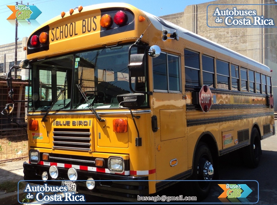 Autobuses de Costa Rica: Autobuses de Costa Rica: Blue Bird TC 2000