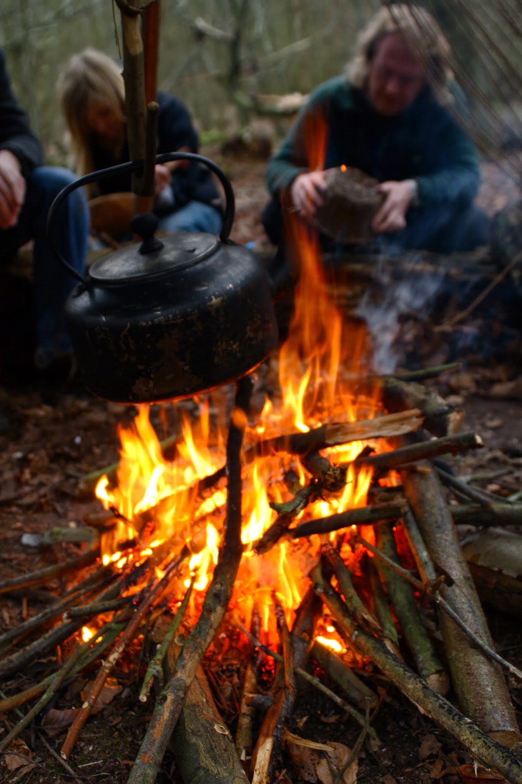 Wilderness Survival Skills - Joe O'Leary: Building A Long Term Shelter ...