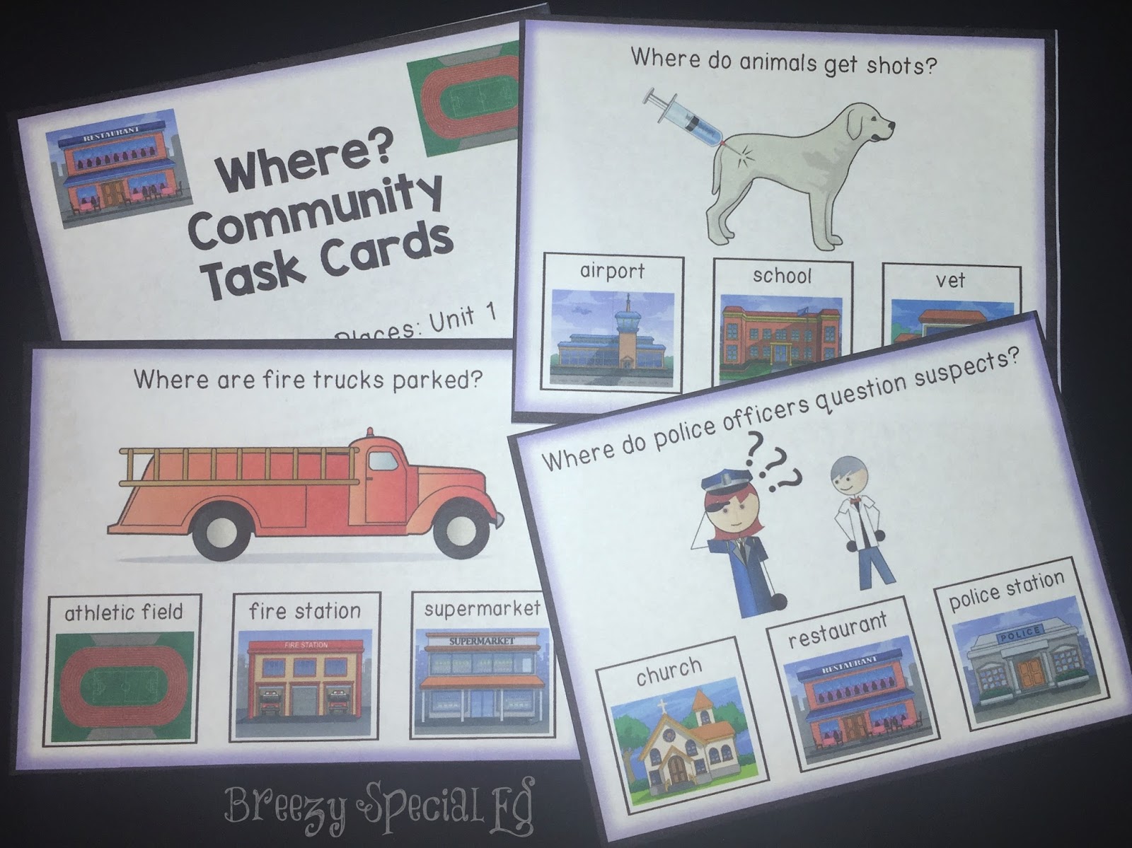 Community Places Curriculum - Breezy Special Ed