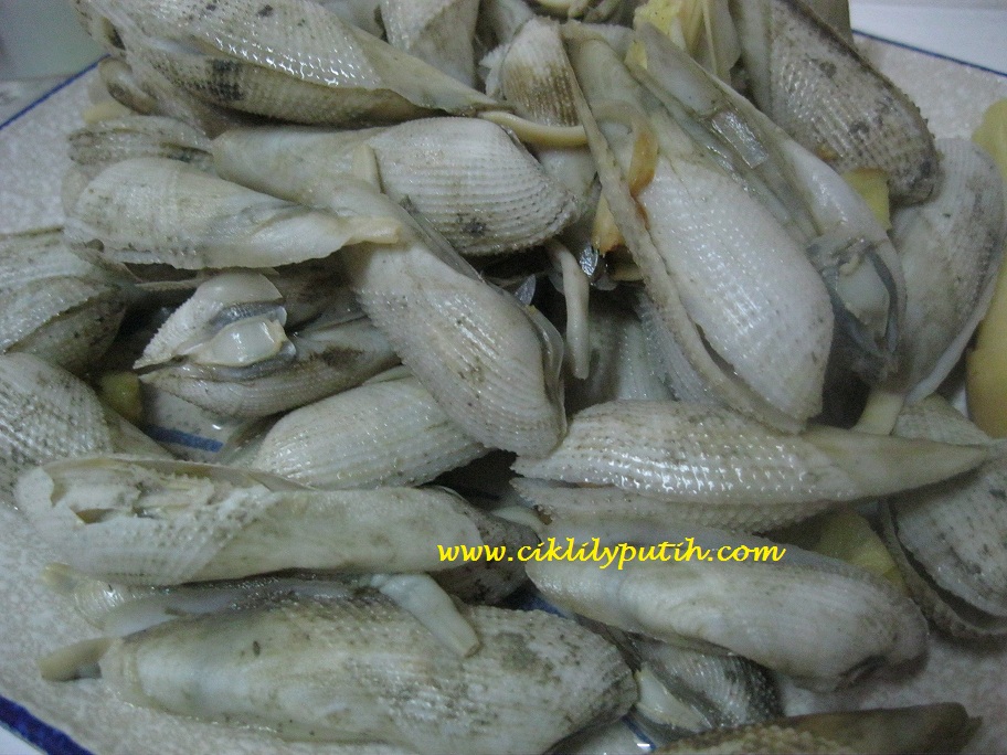 CikLilyPutih The Lifestyle Blogger: Cara Masak Siput Mentarang Yang Sedap