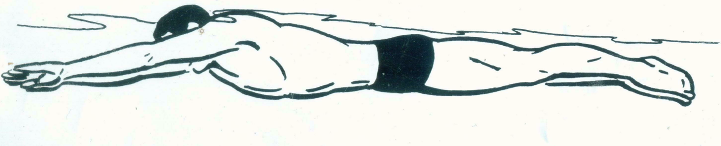 Como aprender Natación: Natación Estilo PECHO