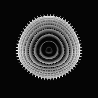 Gambar Ilusi Optik Wallpaper Bikin Pusing ~ Gudang Gambar