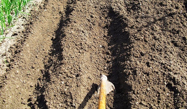 Huerta Tecnologica: Preparado de la Tierra para la Siembra