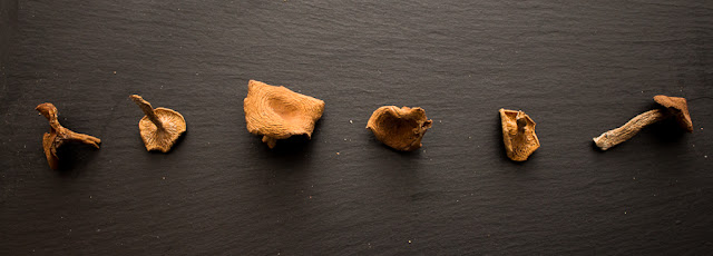 Candy Cap Mushrooms: A Sweet Shroom