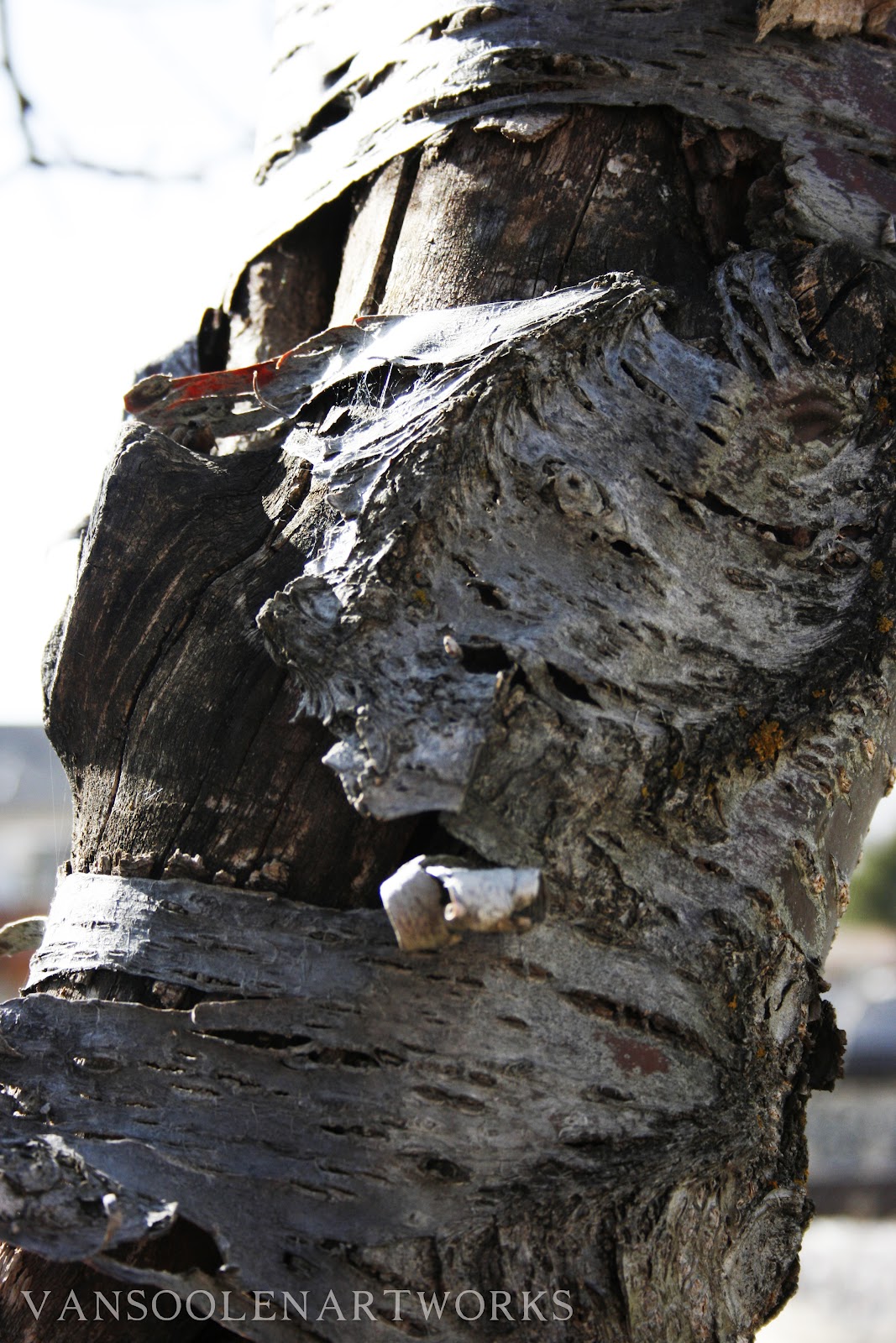 The Art of Life: Magic Happens