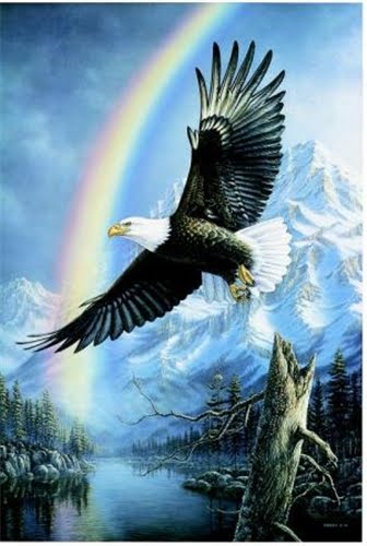 White Wolf : James Meger - Wildlife artist who paints with hidden ...