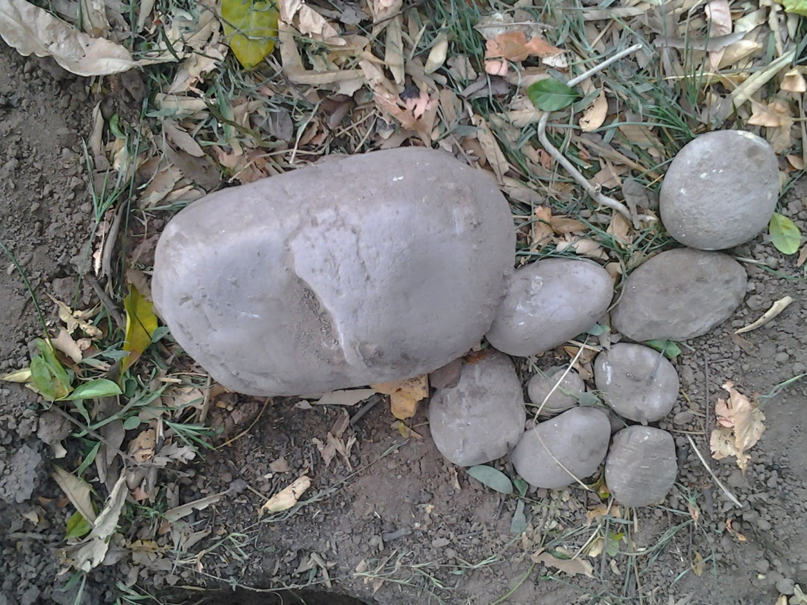 CALICATA LOPEZ GONZALEZ SACHEZ 10º