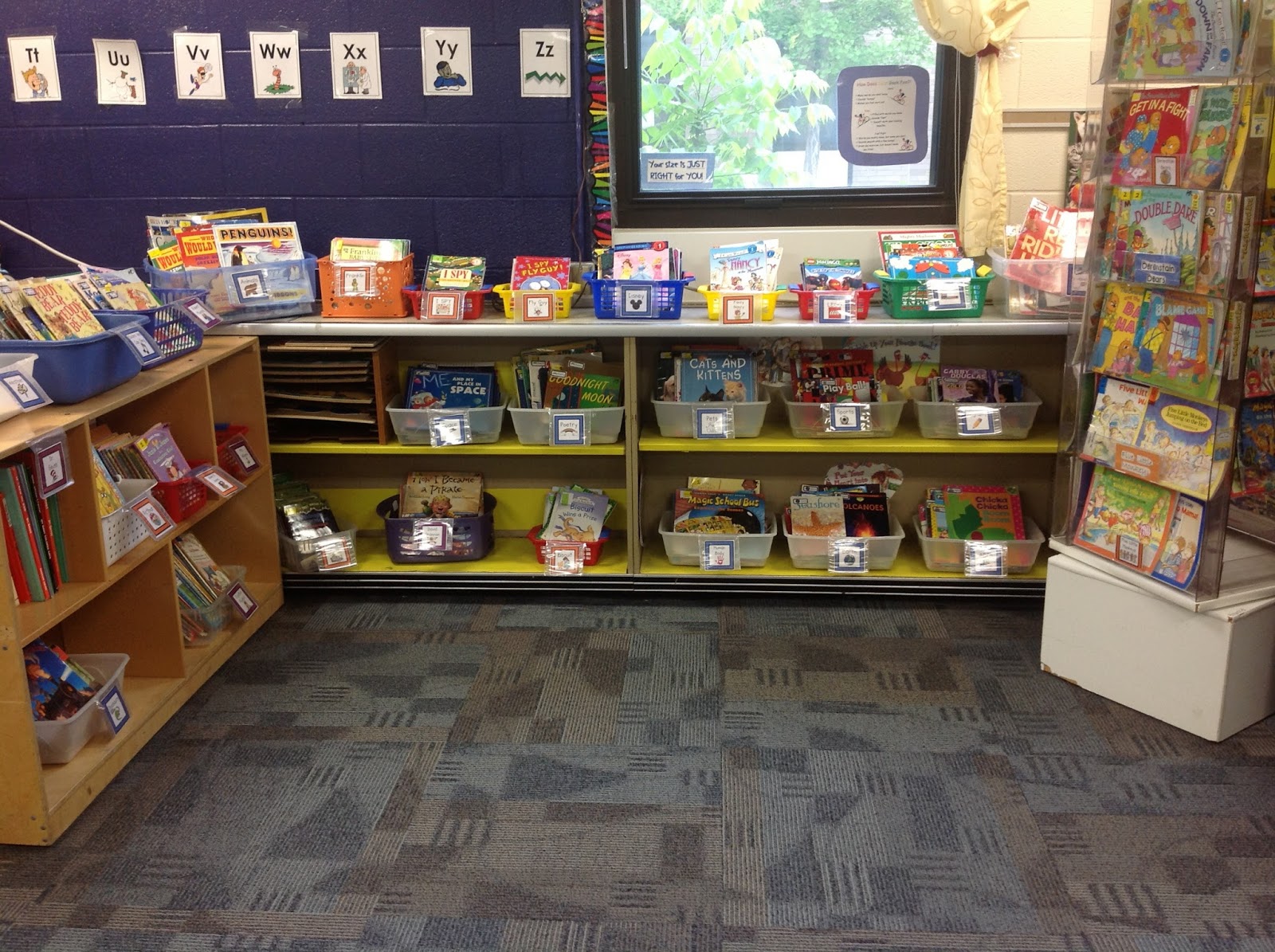 Howywood Kindergarten: More Classroom Library Inspiration... Get Organized!