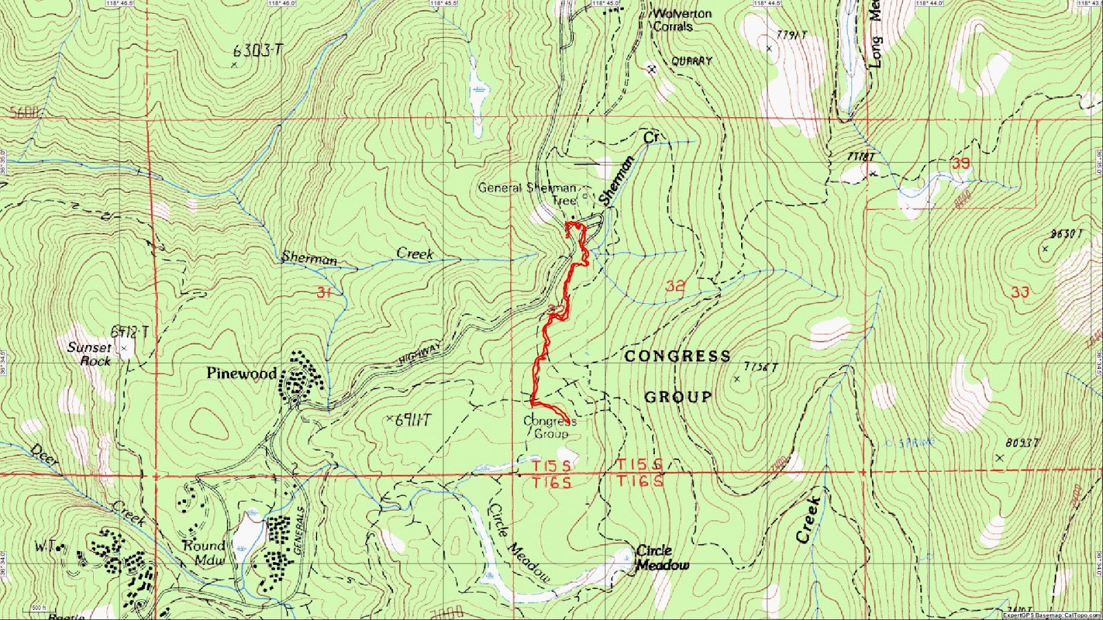 American Travel Journal: Congress Trail - Sequoia National Park