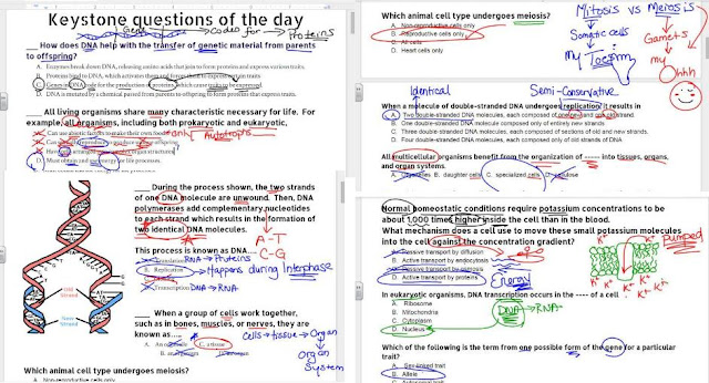 EC Honors Biology: Keystone Exam Practice Questions Summary