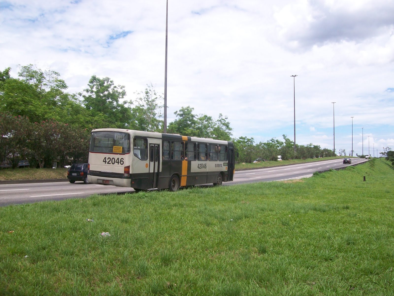 Bus Elite | Aqui o ônibus é destaque: Linha 398