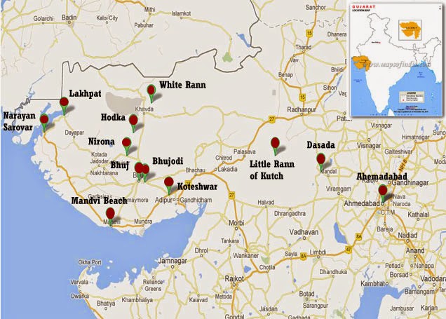 The white beauty - Rann of kutch