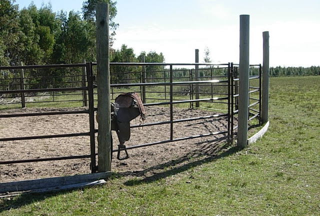 Manejo Integral del Caballo: Manejo Integral aplicado a la Crianza