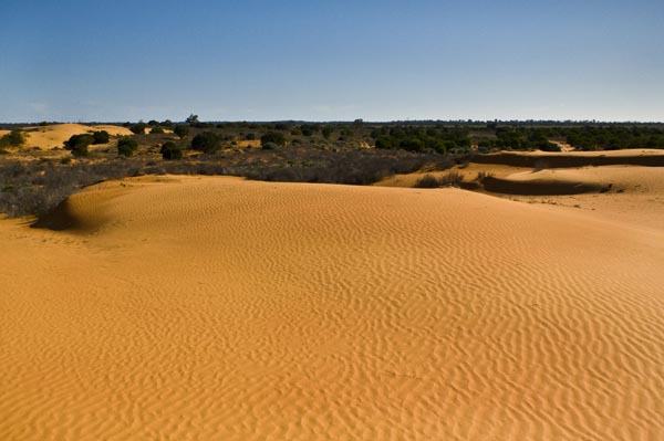 BigRedBusTouringCo.com: Moorook to Perry Sand Dunes
