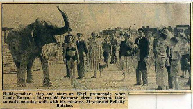 Rhyl Life: PRINCE'S CIRCUS AT PAVILION