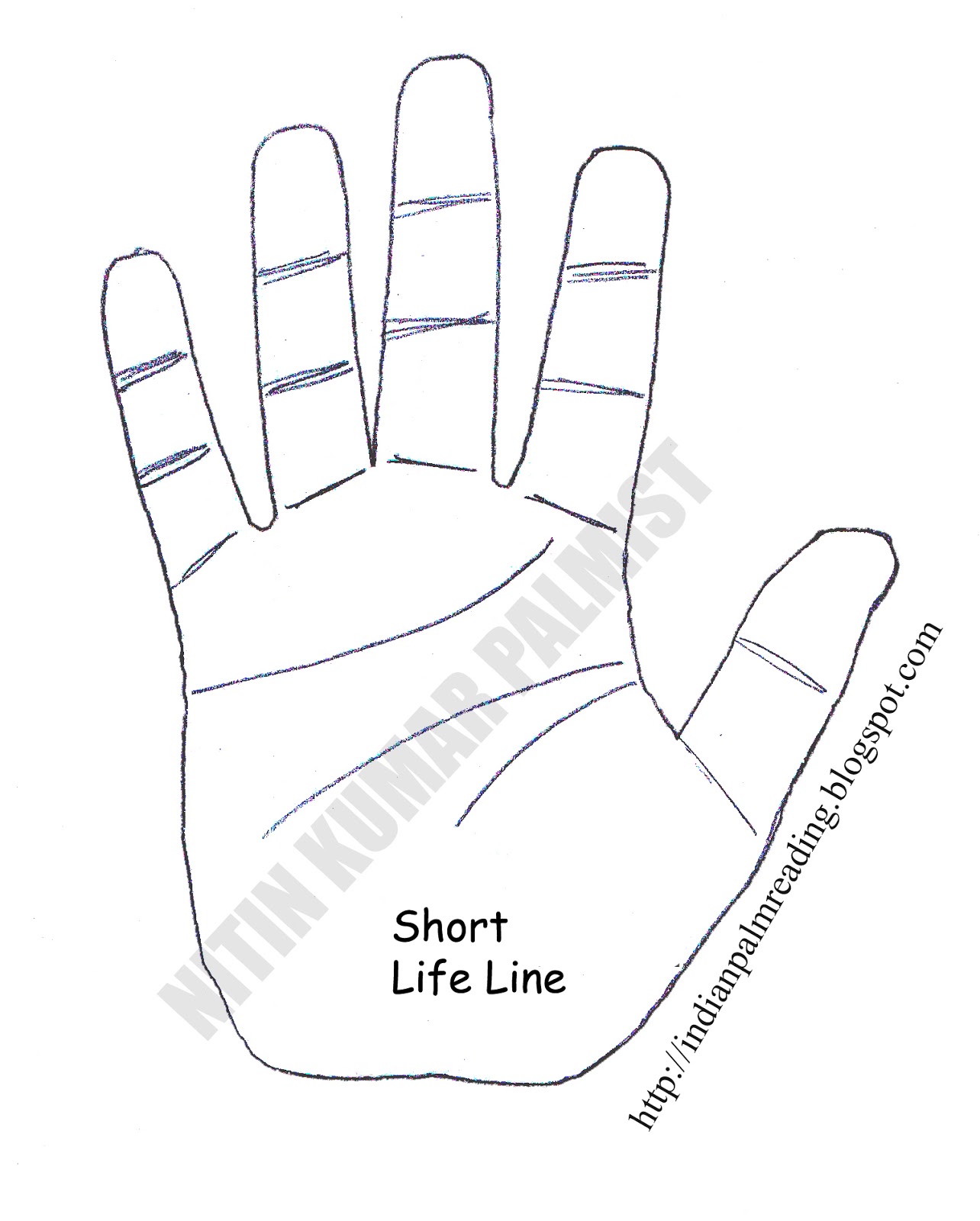 Short Life Line Means Short Life | True Or Myth | Palmistry ~ INDIAN ...